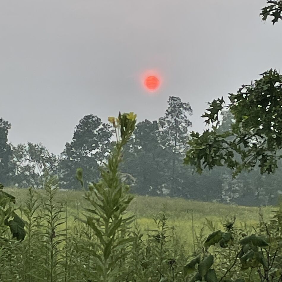 Sun: Color of the rising sun this morning…...