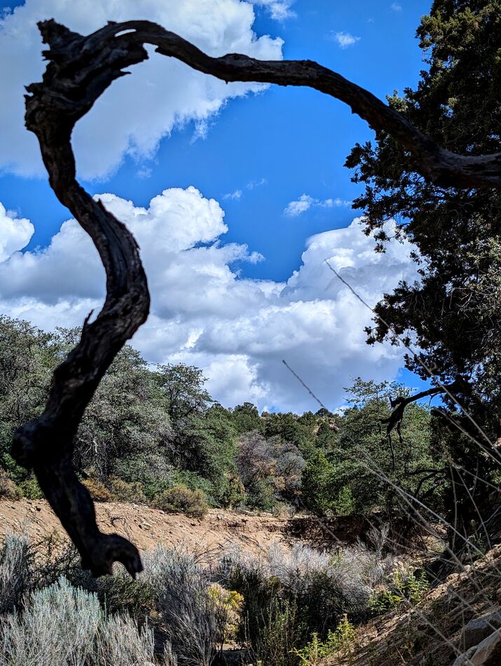 Gold Gulch: Though I've lived here since 1987 and taken countless hikes ...