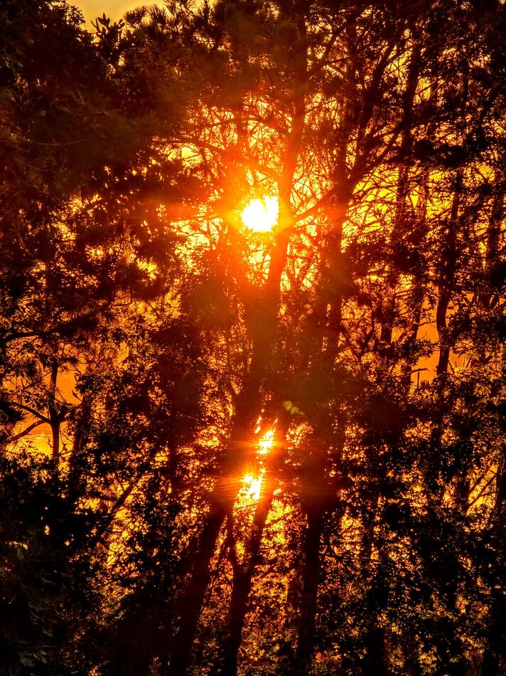 Sun: . Sun.