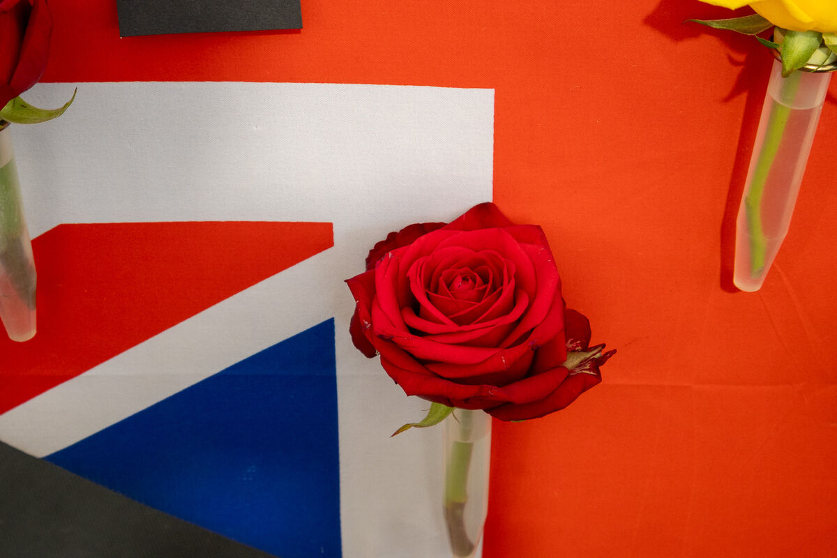 Malvern Show - Roses: Here are some of the roses entered into various ...