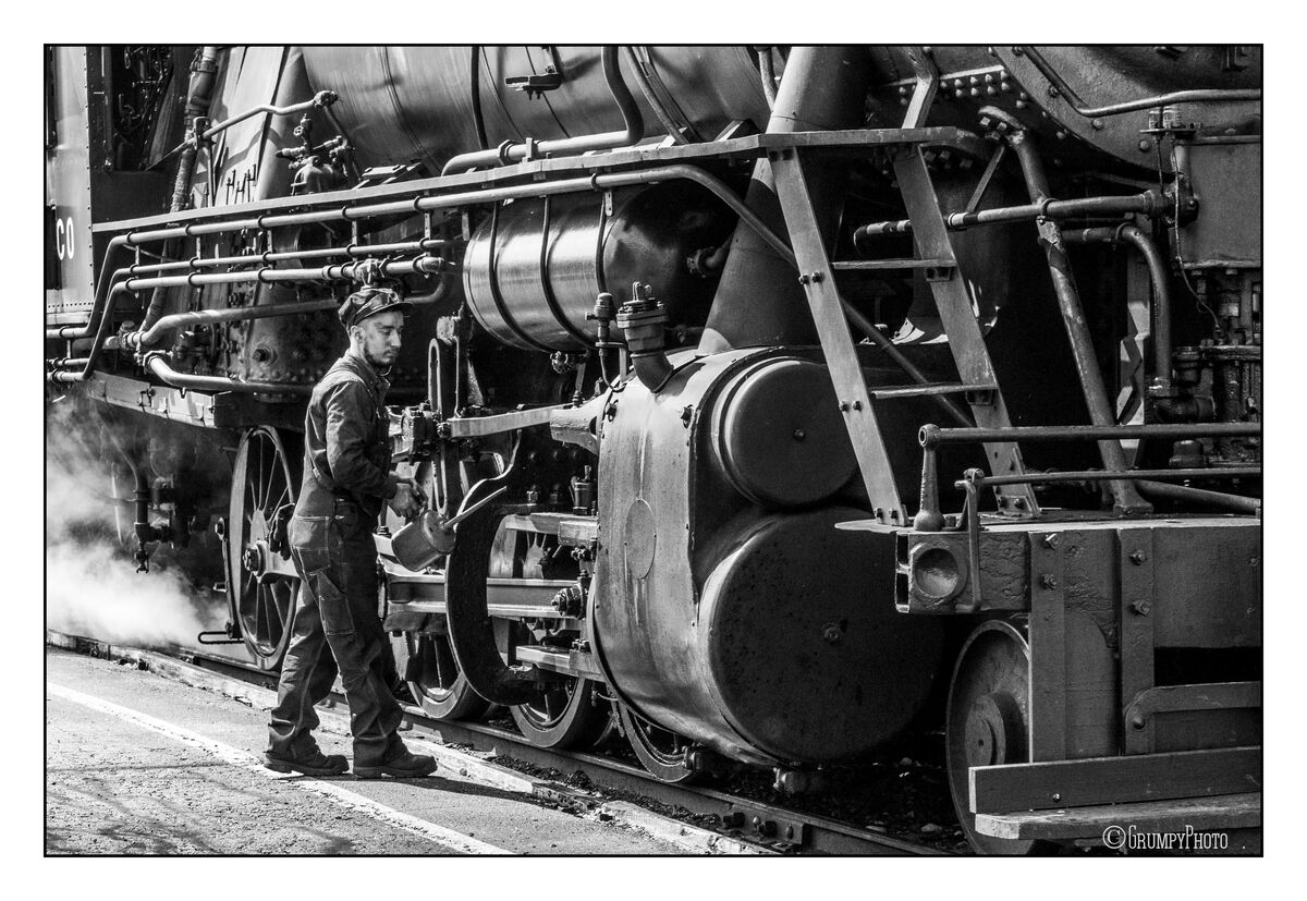 Shay No 5 Illinois Railroad Museum and a street car: Some more B/W ...
