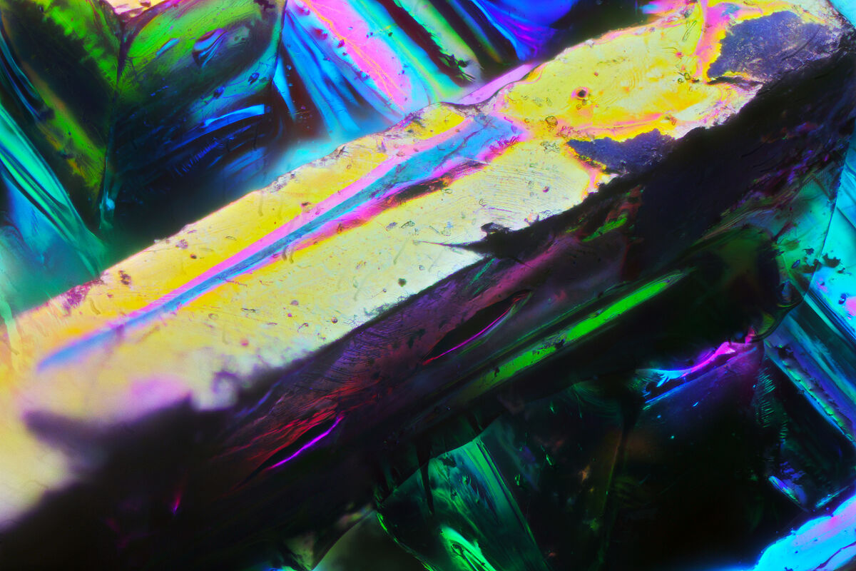 The World of 10X Extreme Macro Photography: Here are a few images of ...
