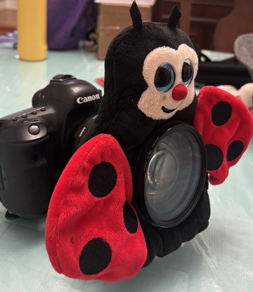 NO LONGER AVAILABLE! I noticed these camera lens accessories are “No ...