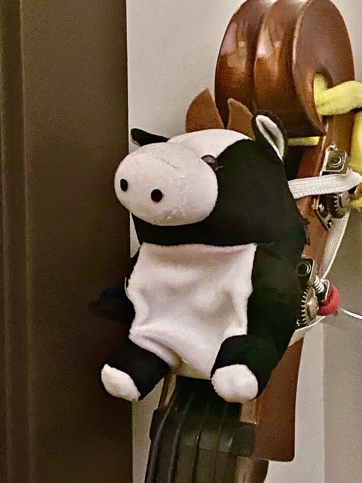 NO LONGER AVAILABLE! I noticed these camera lens accessories are “No ...