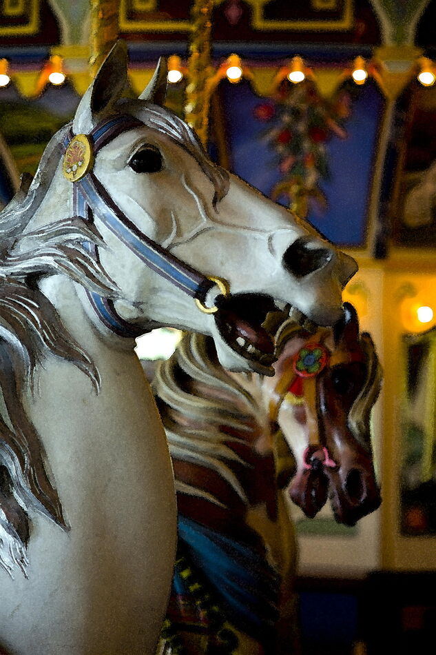 carousel horses 1: These are from my archives, shot at local carousels ...