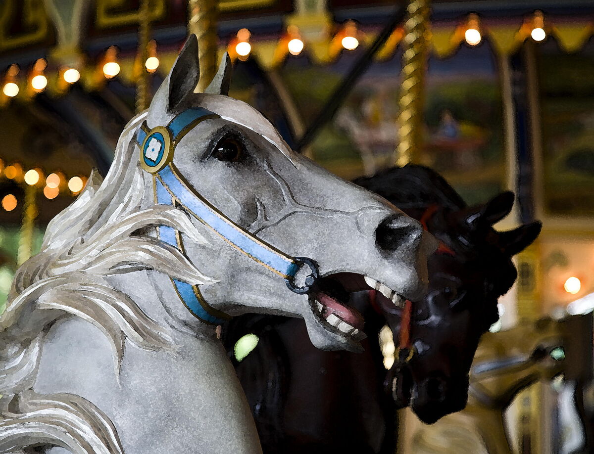 carousel horses 1: These are from my archives, shot at local carousels ...