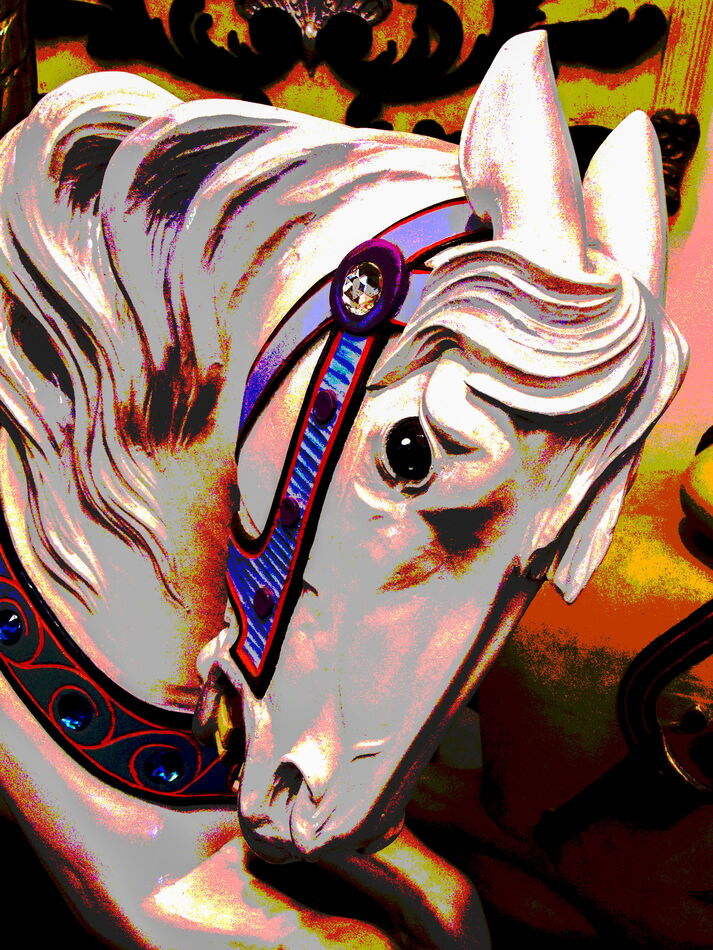 carousel horses 1: These are from my archives, shot at local carousels ...