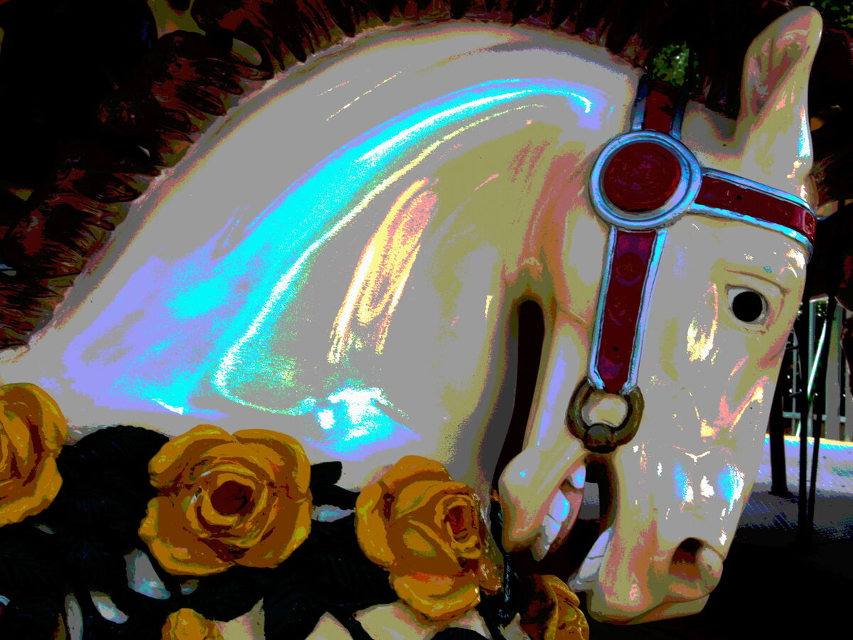 carousel horses 1: These are from my archives, shot at local carousels ...