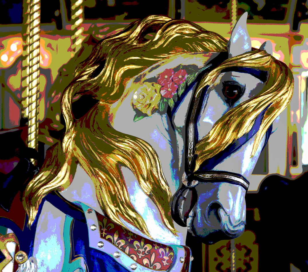 carousel horses 1: These are from my archives, shot at local carousels ...