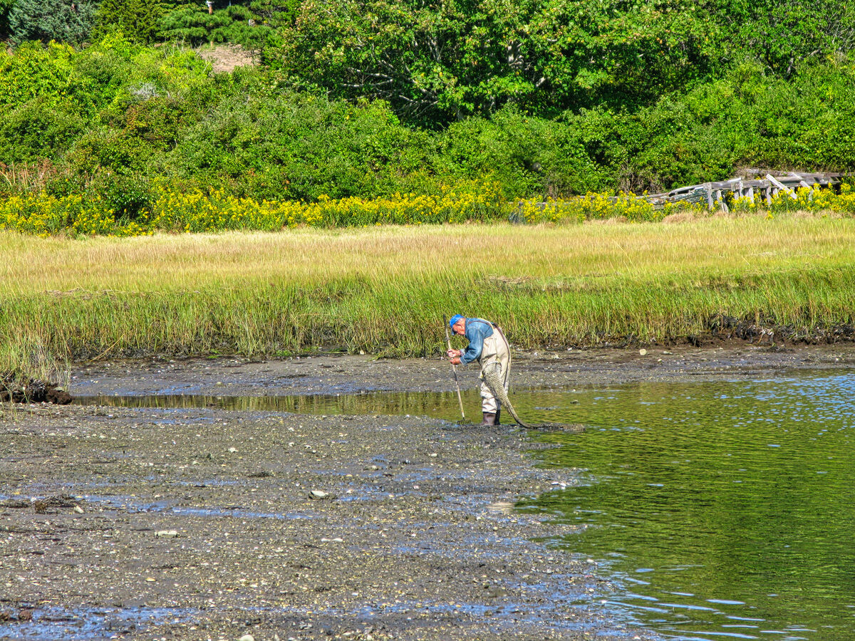 Cape Cod 2008 - Chatham Waterfront Scenes: From the lighthouse parking ...