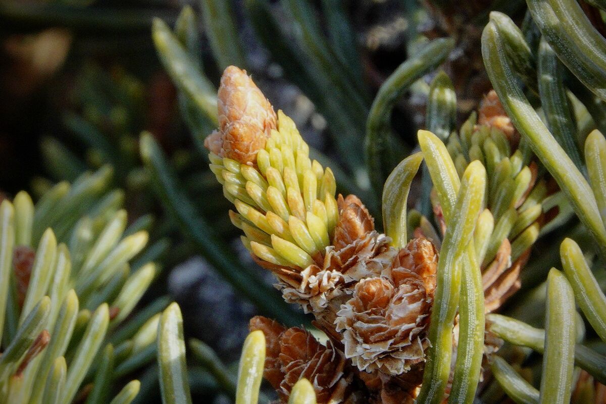 Freezing Along the Snake River Greenbelt: Last week I wandered over to ...