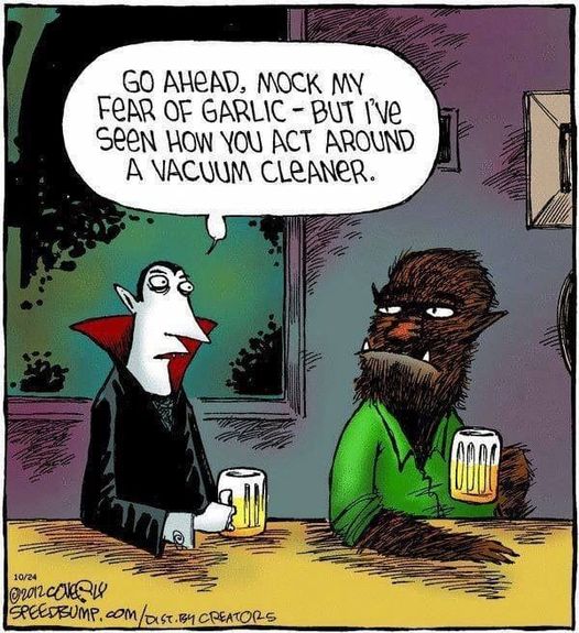 Dogs and Vacuums: Why do most dogs get hysterical when a vacuum is ...