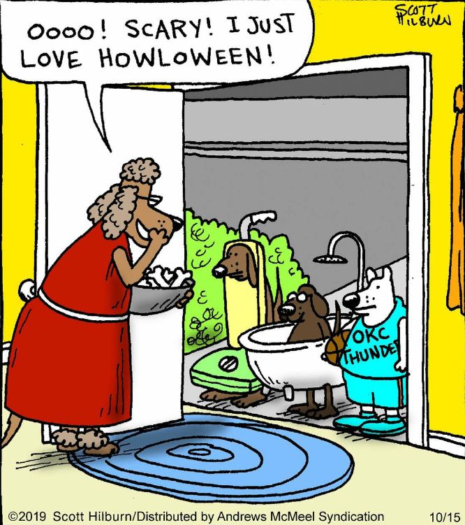 Dogs and Vacuums: Why do most dogs get hysterical when a vacuum is ...