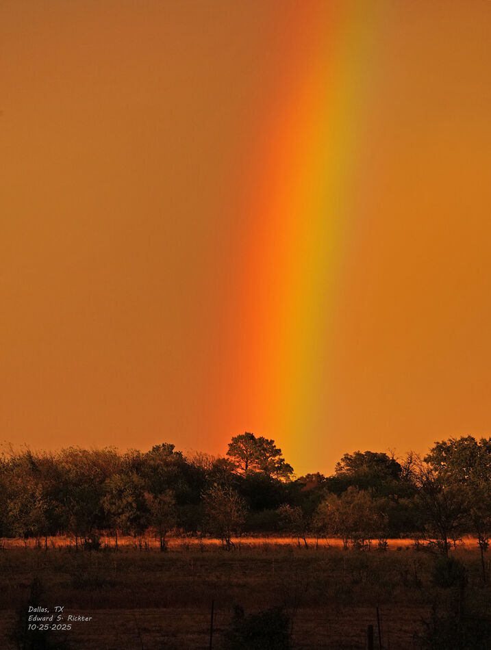 The Last Sunset of 2025; End of the Rainbow; Quarter Moon; Great Egret ...