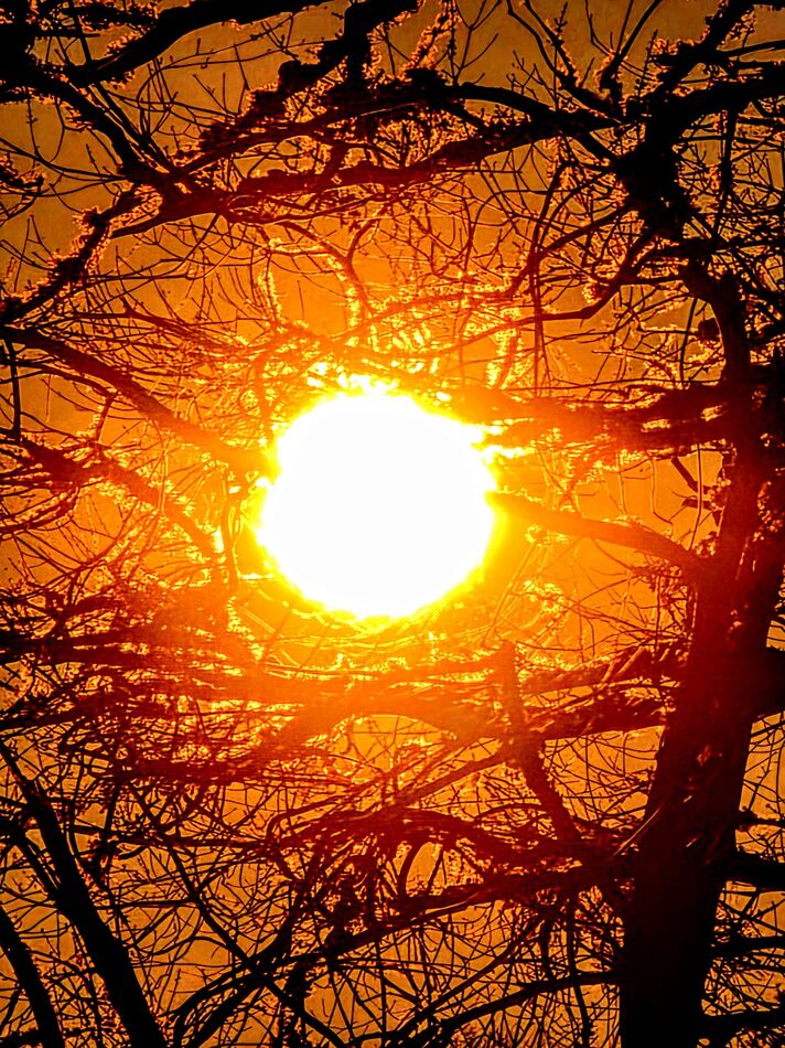 Sun: . Sun