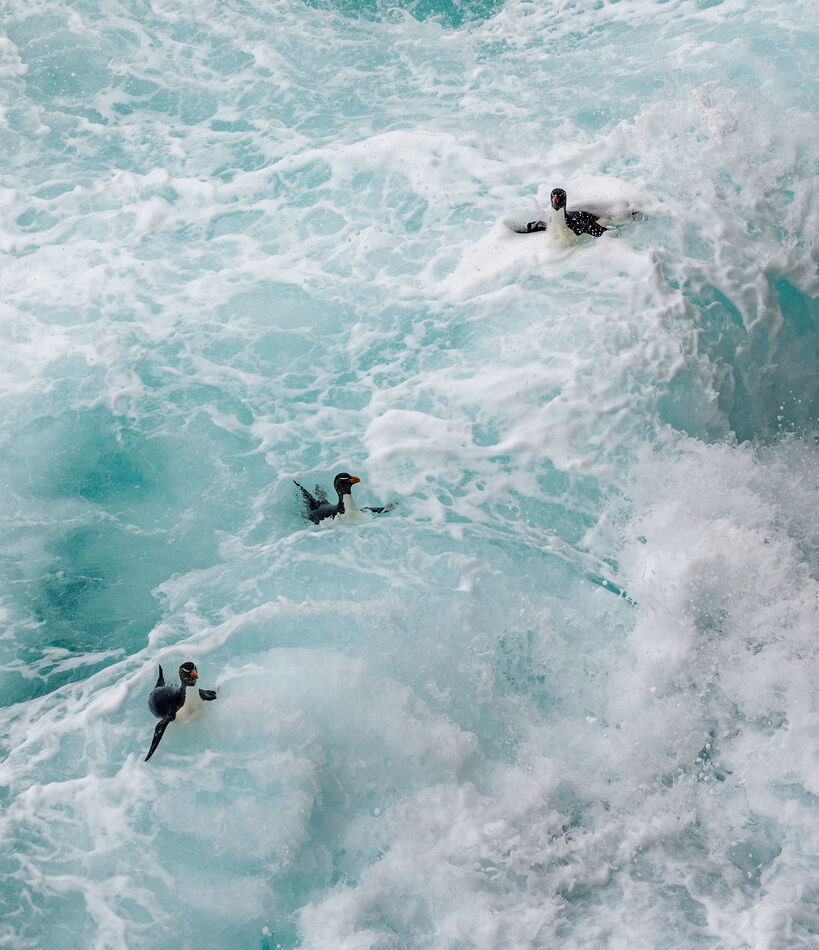 The washing machine, Sea Lion Island: There is a place called the ...