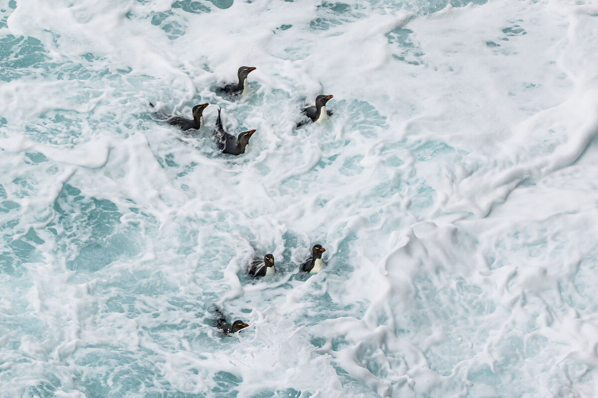 The washing machine, Sea Lion Island: There is a place called the ...