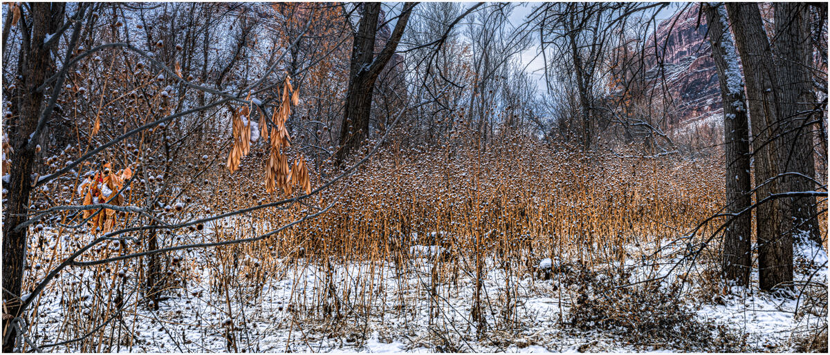 Scott Matheson Wetland Preserve: