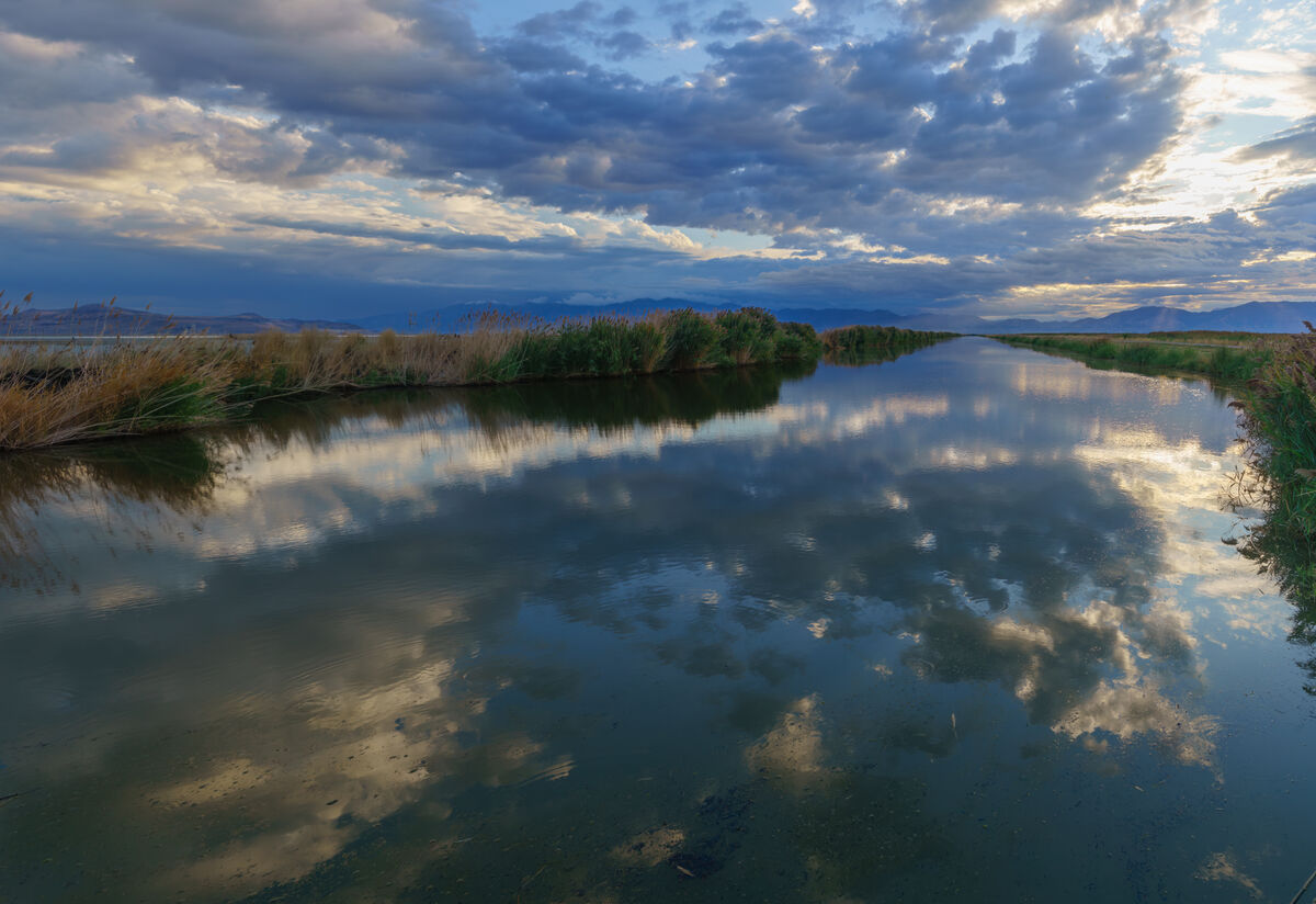 Bird refuge landscapes continue - I: Every trip to a bird refuge ...