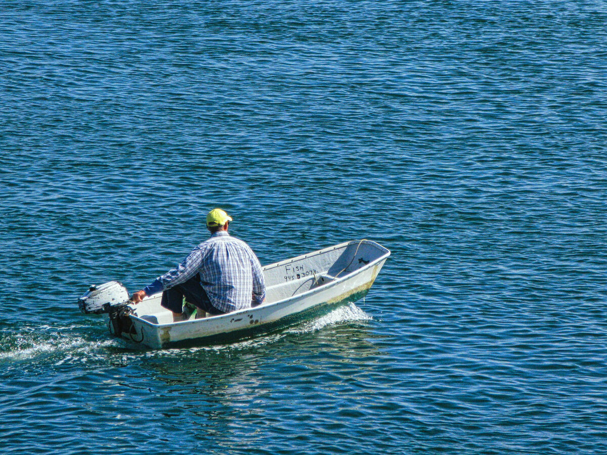 Cape Cod 2008 - Chatham Waterfront Scenes Part 5 - More From The Fish ...