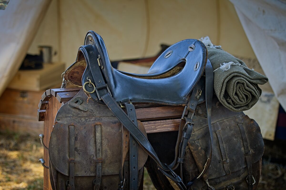 McClellan Saddle: In 1859, the U.S. War Department adopted the ...