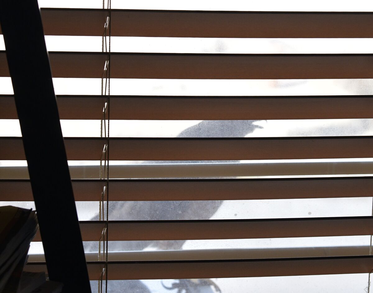 Coopers Hawk on my BBQ Grill: I was getting my camera bag packed-up to ...