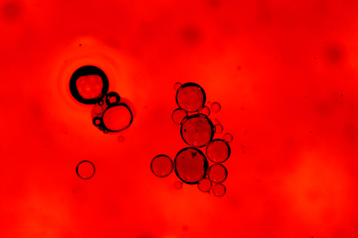 Oil, Vanilla and Water: While I was doing some baking this afternoon ...