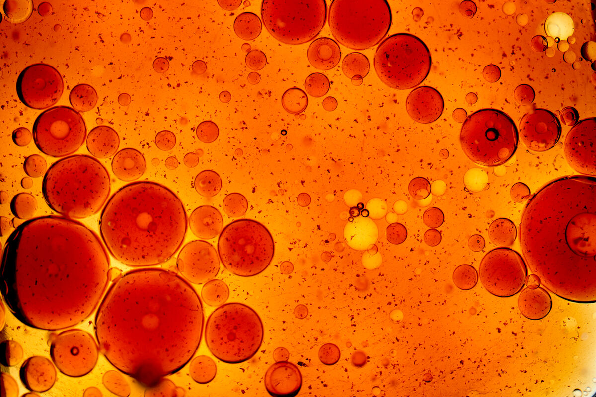 Oil, Vanilla and Water: While I was doing some baking this afternoon ...