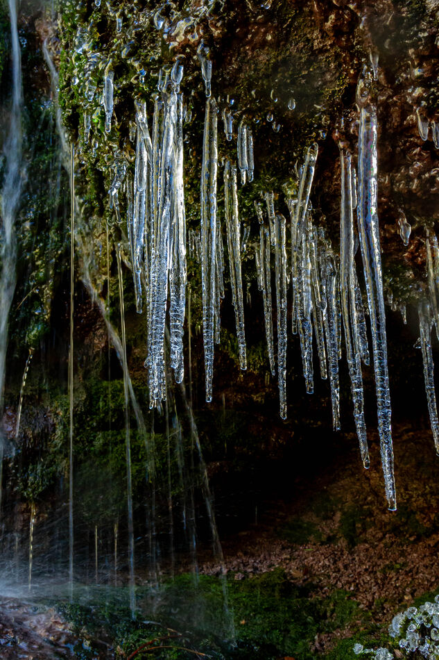 Good Ice: I always appreciate days when I can go to a favorite creek ...