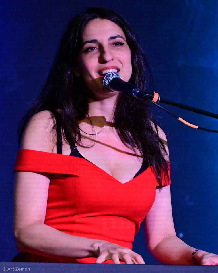 What caused the horizontal light/dark bands? I shot this at a concert ...