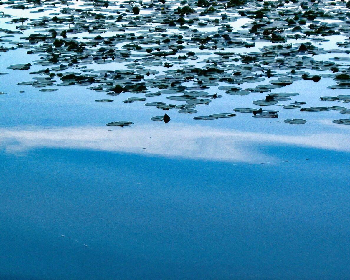 Please - Call a Prominent Impressionist: Not Rich Little or one of ...