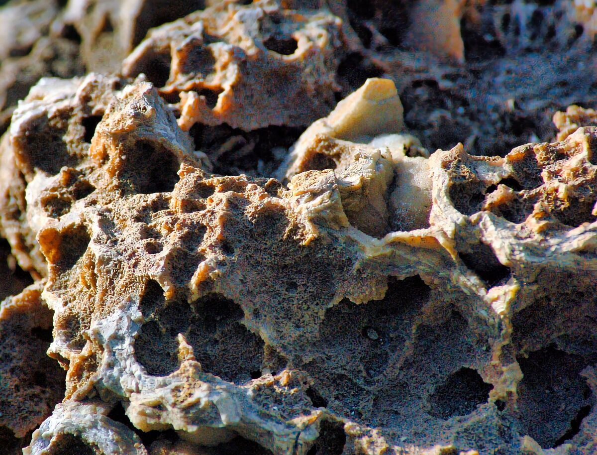 Lines, Edges, Textures, and Points: That should cover everything 😊😊😊😊...