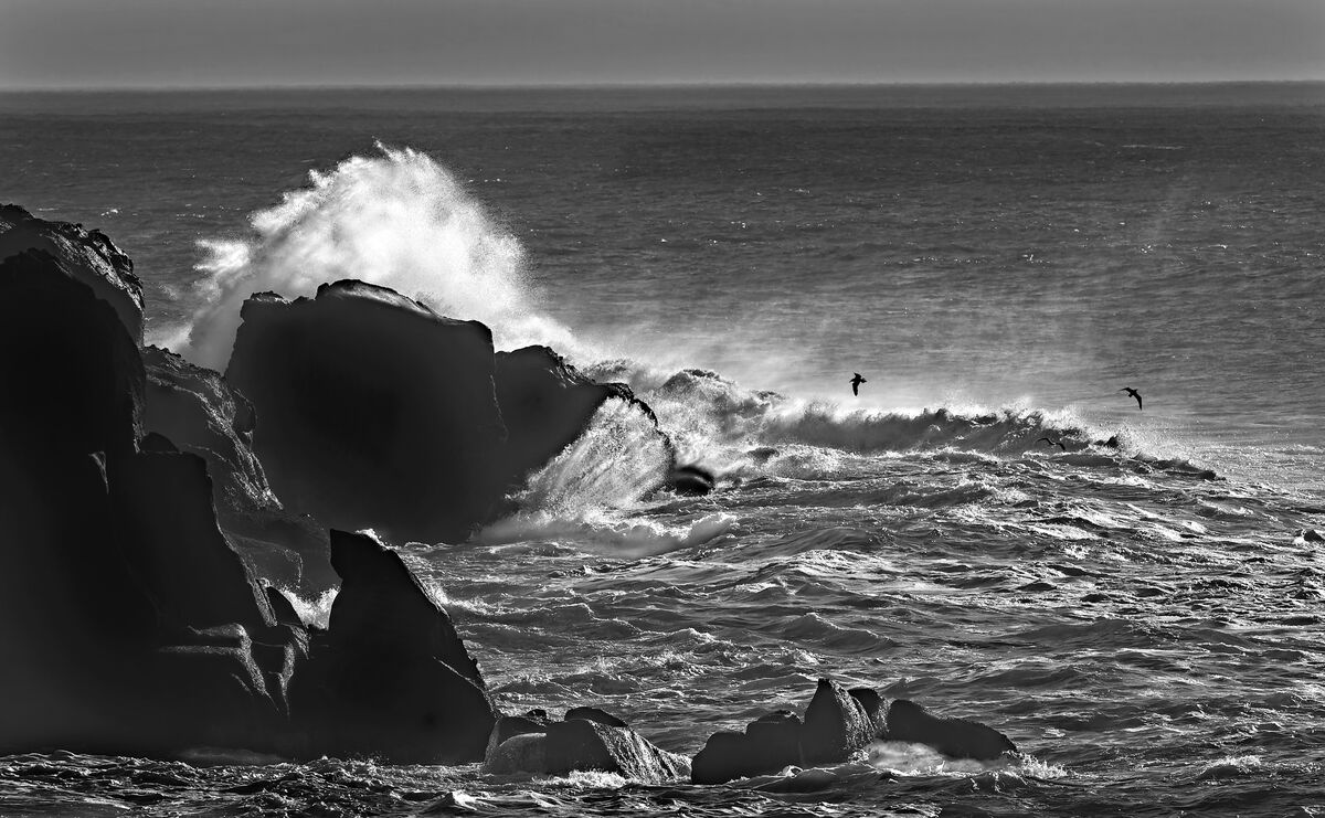 Splash Splash: visit to the coast more to follow mrbill...