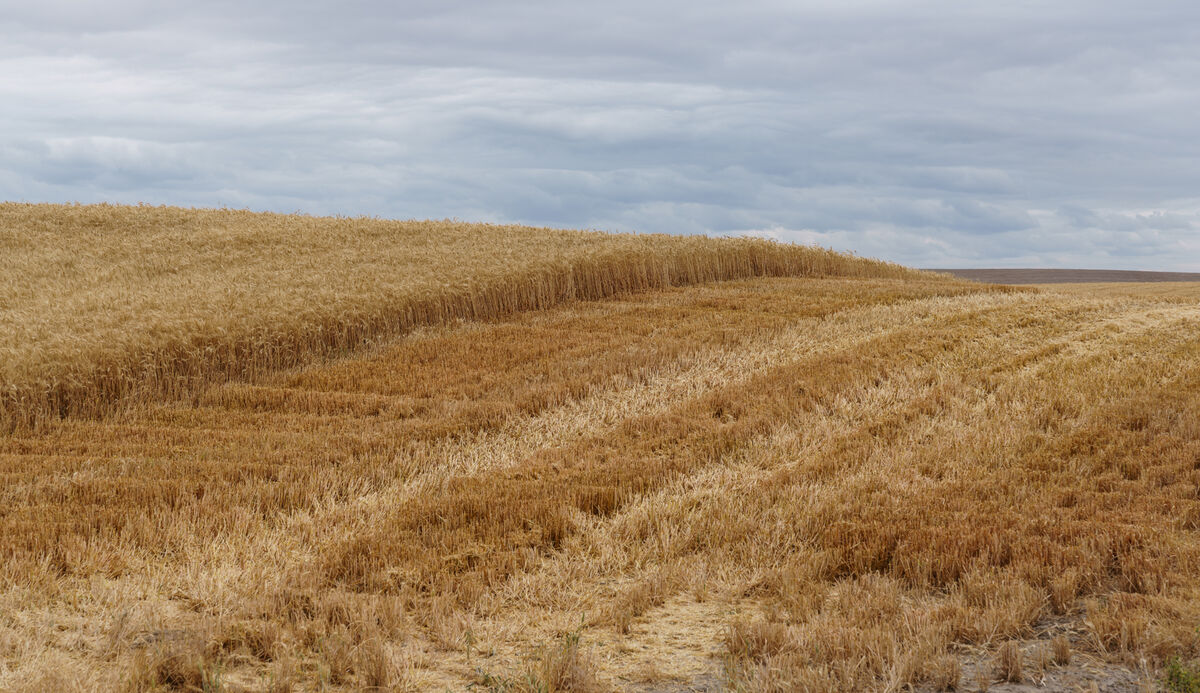 2019 Palouse - II: Boise provided a good night's rest and then we were ...