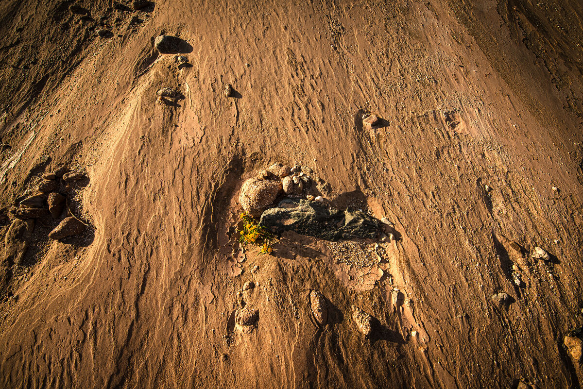 Desert Pavement: A while back I, and 2 other fellow photographers ...