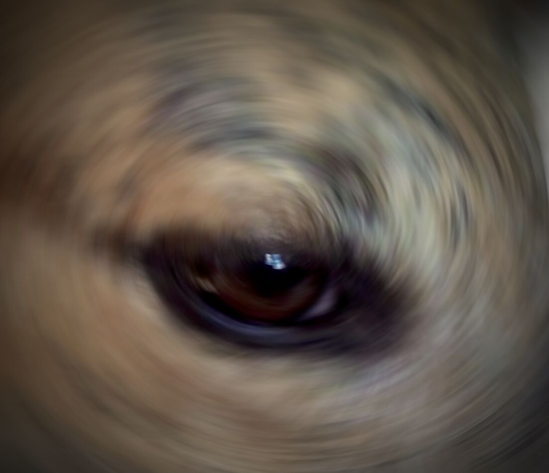 The eye of the storm and fallen trees: Just a little fun.