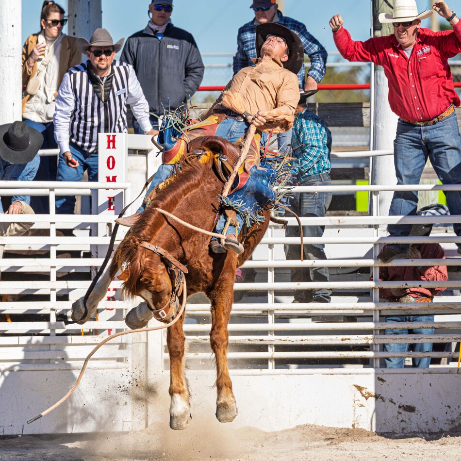 Homestead Championship Rodeo: Here are some shots from last Sunday ...