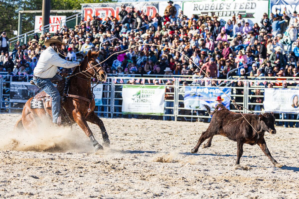 Homestead Championship Rodeo: Here are some shots from last Sunday ...