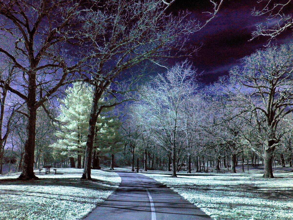 IR with Some Added Color: I sure love the effects ⭐⭐⭐⭐...