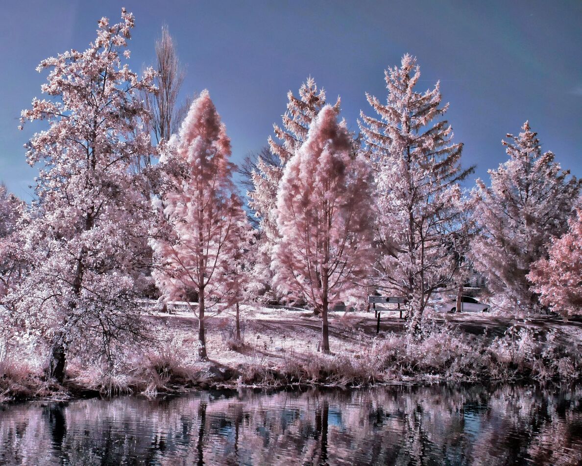 The Magic of IR: First shot after I had just gotten my 720nm IR ...