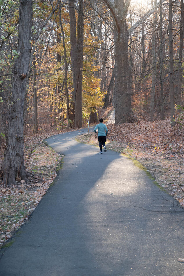 My Image Your Editing: Daily Run: While out and about I took this shot ...