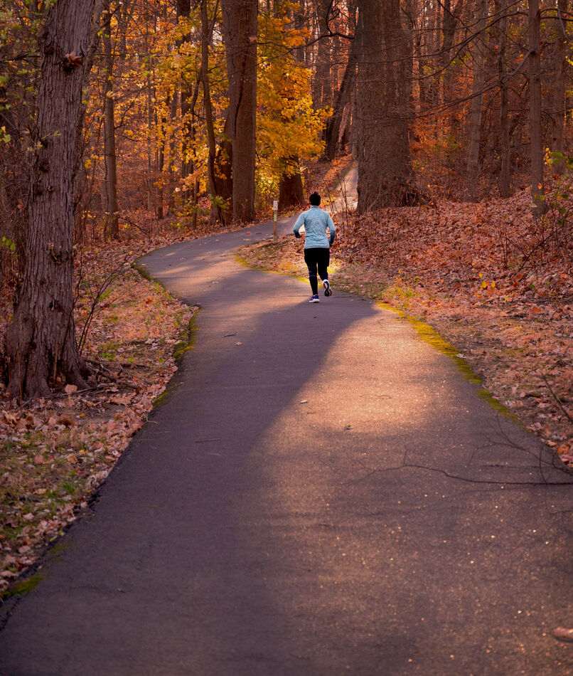 My Image Your Editing: Daily Run: While out and about I took this shot ...