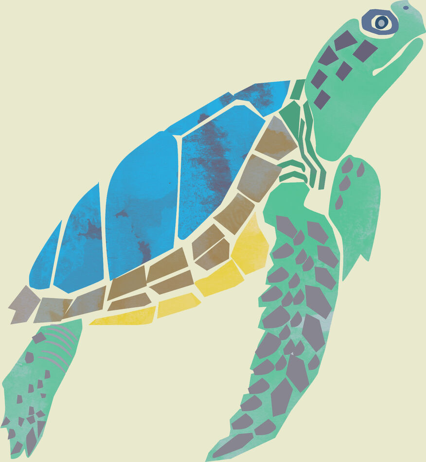 Sea Turtle Drawing: using Inkscape vector Drawing program...