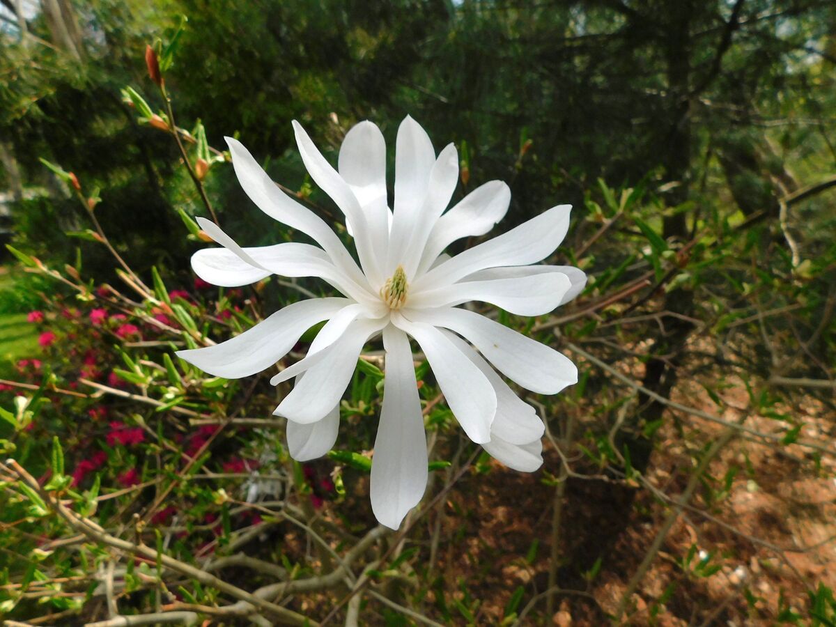 Finally Spring Has Sprung on Cape Cod: Following the harshest Winter ...