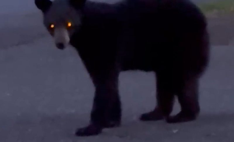 Pollution of Nature - Scary! This is a clip from a video posted on ...