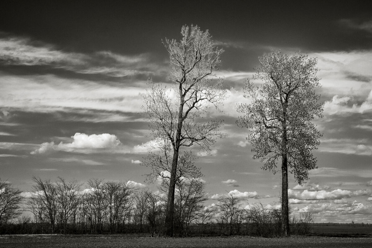 Is Fujifilm the best APS-C choice? Now that the Leica CL and the TL ...