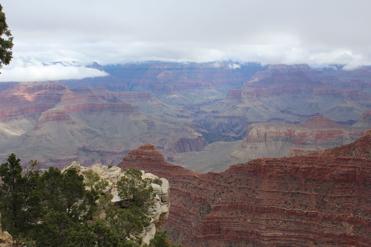 Foggy Grand Canyon 2018 #1: Unprocessed pictures off the digital camera ...