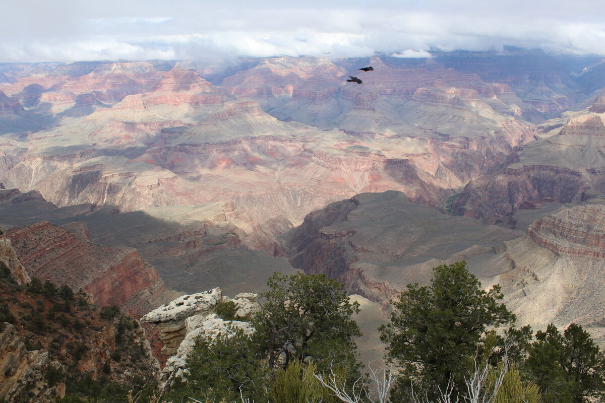 Foggy Grand Canyon 2018 #2: Second set of foggy Grand Canyon pictures ...