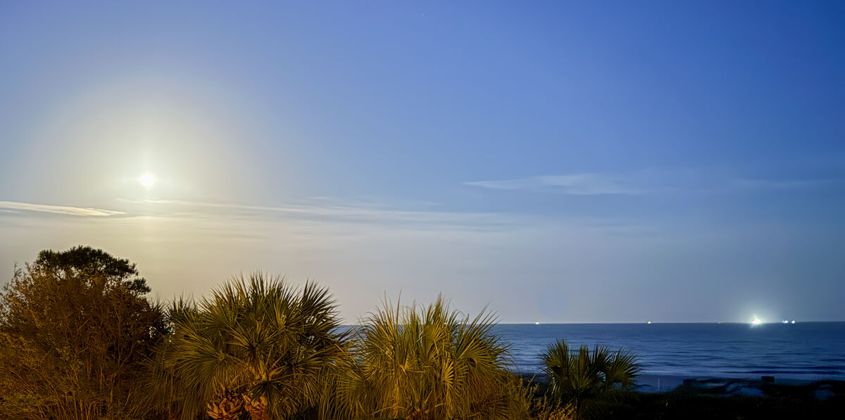 Leftover Hilton Head Island landscapes: Using Sunday to try to tidy ...