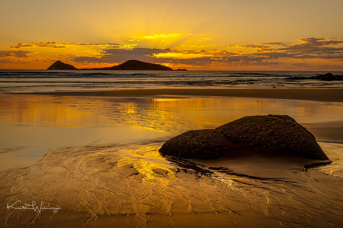 Golden sunset: Golden sunset taking place in Melbourne, Australia.